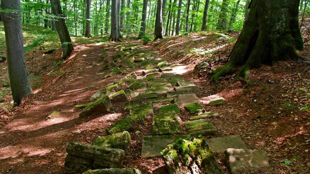 Cetatea dacică Piatra Roșie - Descoperă Obiectivul Turistic