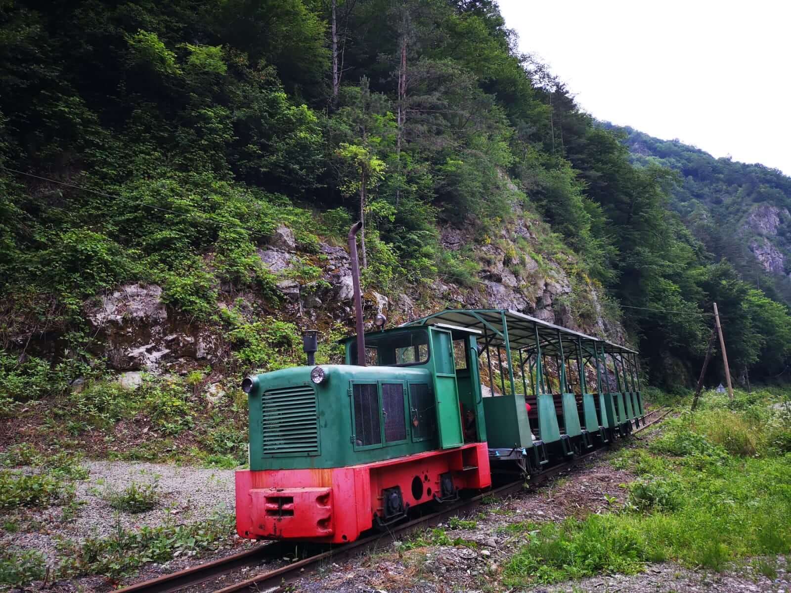 Mocănița Apusenilor - Descoperă Obiectivul Turistic